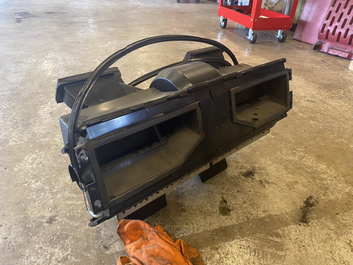 IMG_7069 | GAKUYA フォルクスワーゲン アミューズメント